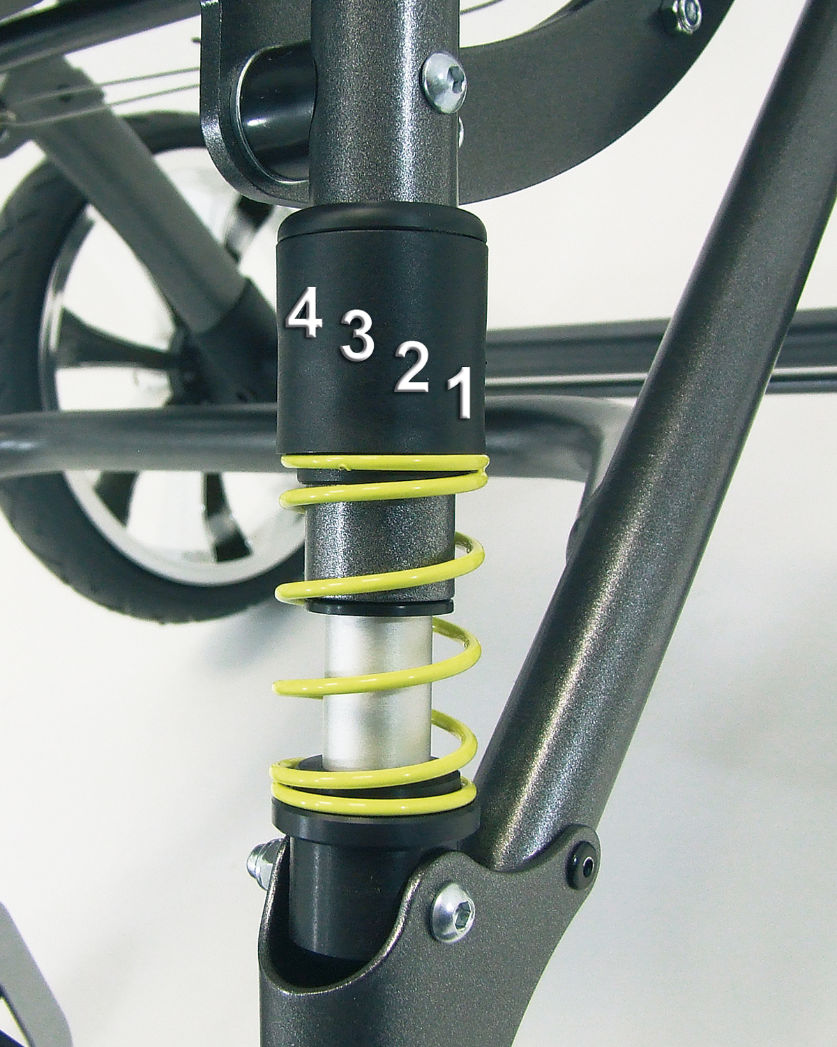 Bingo Evolution & Bingo Evolution Cross - Rehagirona